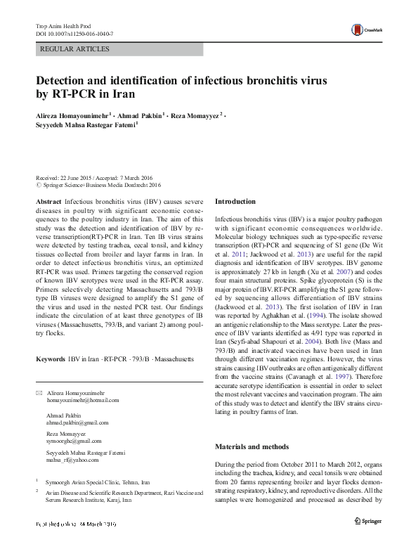 (PDF) Detection and identification of infectious bronchitis virus by RT ...