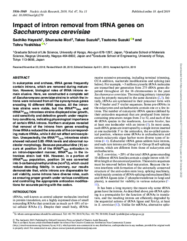 (PDF) Impact of intron removal from tRNA genes on Saccharomyces cerevisiae