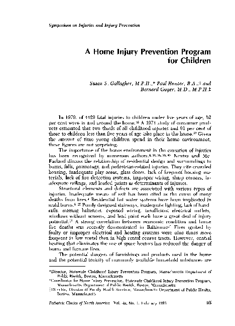 (PDF) A Home Injury Prevention Program for Children