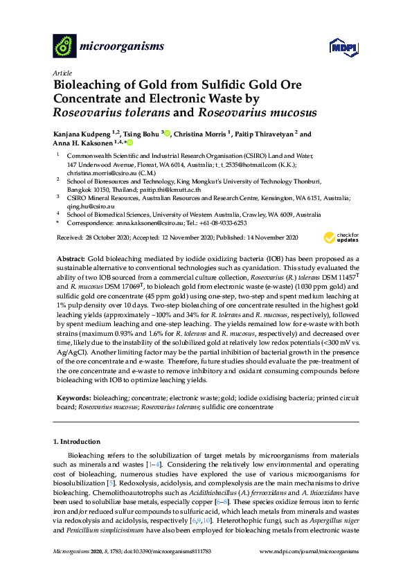 (PDF) Bioleaching of Gold from Sulfidic Gold Ore Concentrate and ...
