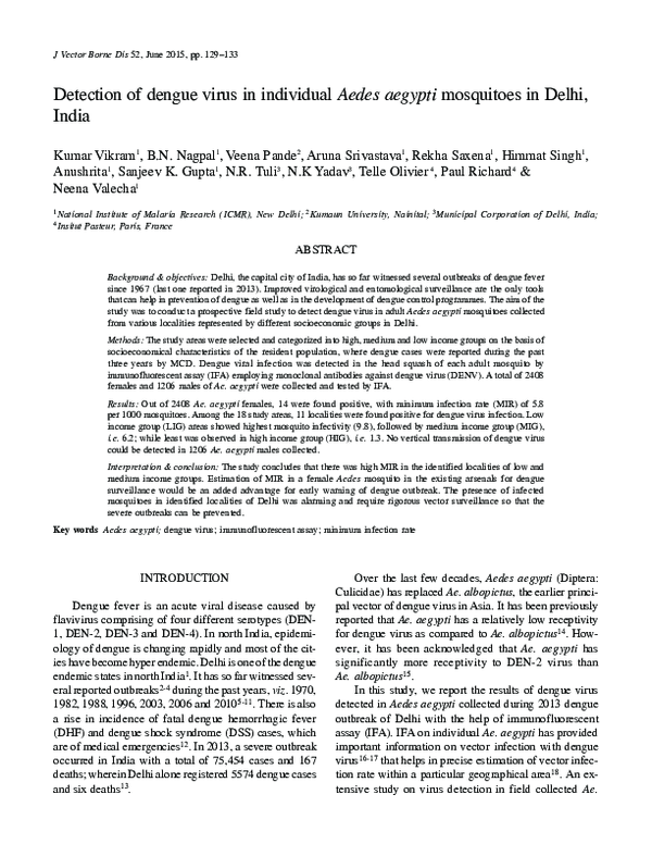 Pdf Detection Of Dengue Virus In Individual Aedes Aegypti Mosquitoes