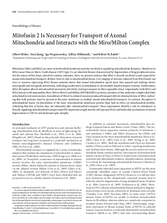 (PDF) Mitofusin 2 Crucial for Axonal Mitochondrial Transport Dynamics