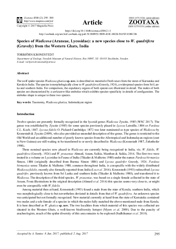 (PDF) Species of Wadicosa (Araneae, Lycosidae): a new species close to ...