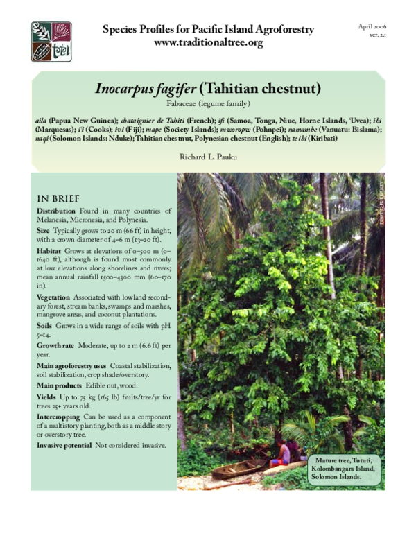 (PDF) Inocarpus fagifer (Tahitian chestnut)