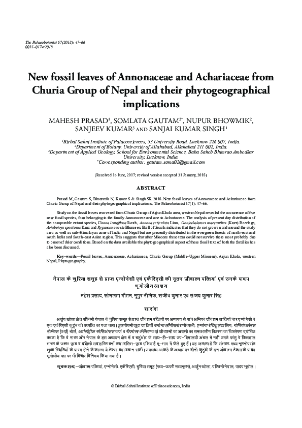 (PDF) New fossil leaves of Annonaceae and Achariaceae from Churia Group ...