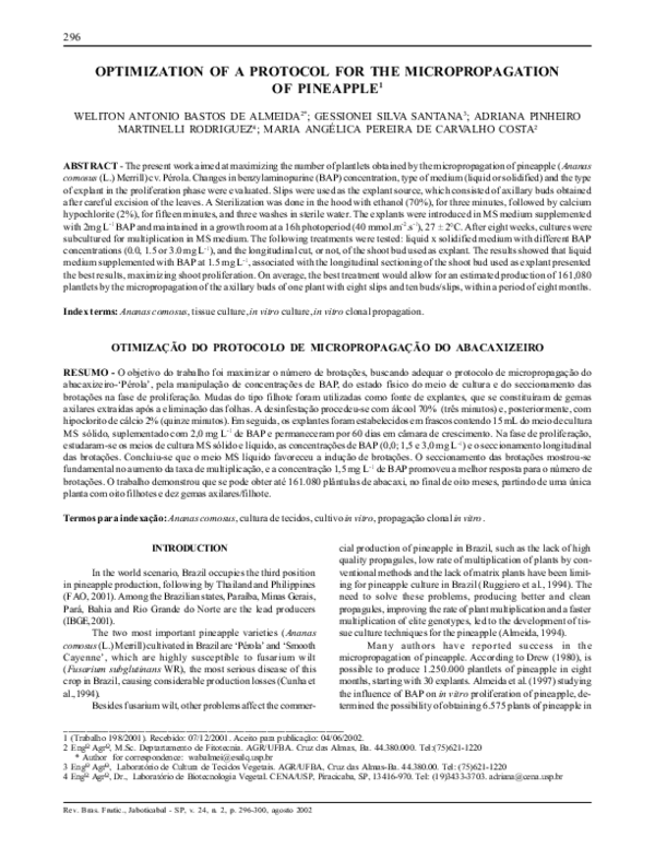 (PDF) Optimization of a protocol for the micropropagation of pineapple