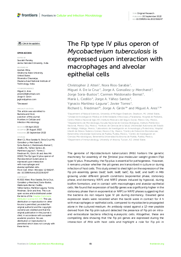 (PDF) The Flp type IV pilus operon of Mycobacterium tuberculosis is ...