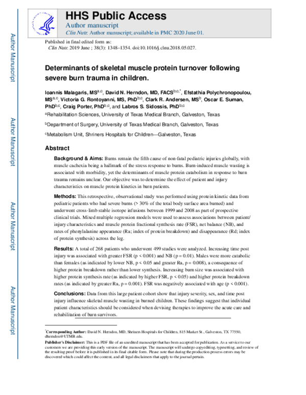 (PDF) Determinants of skeletal muscle protein turnover following severe ...