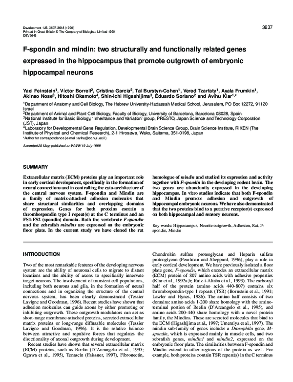 (PDF) F-spondin and mindin: two structurally and functionally related ...