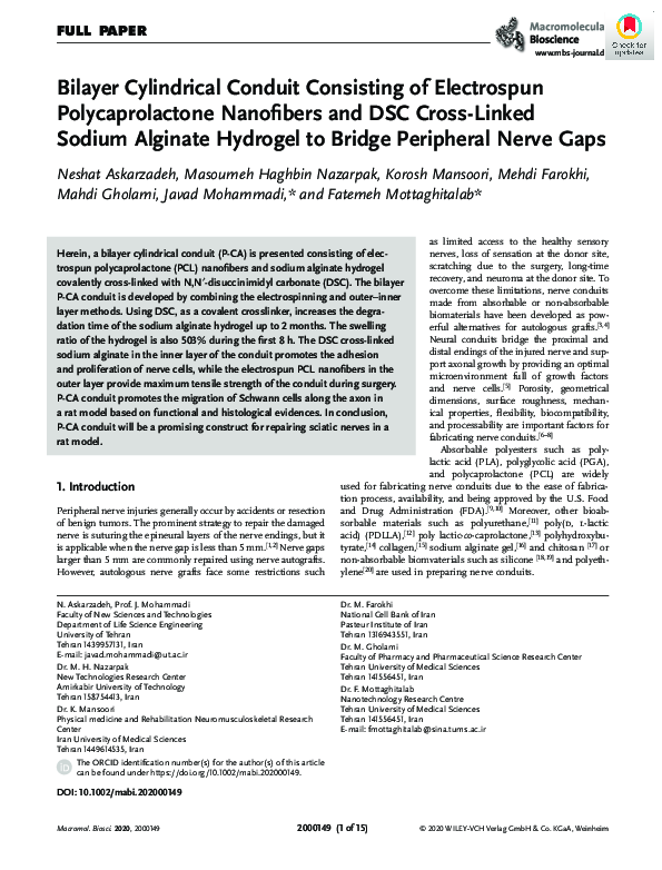 (PDF) Bilayer Cylindrical Conduit Consisting of Electrospun ...