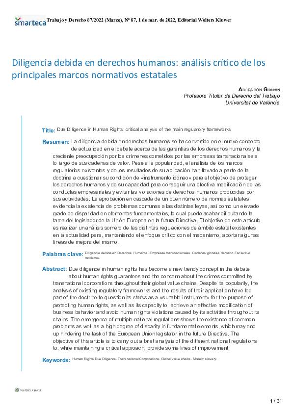 (PDF) Diligencia debida en derechos humanos: análisis crítico de los principales marcos ...