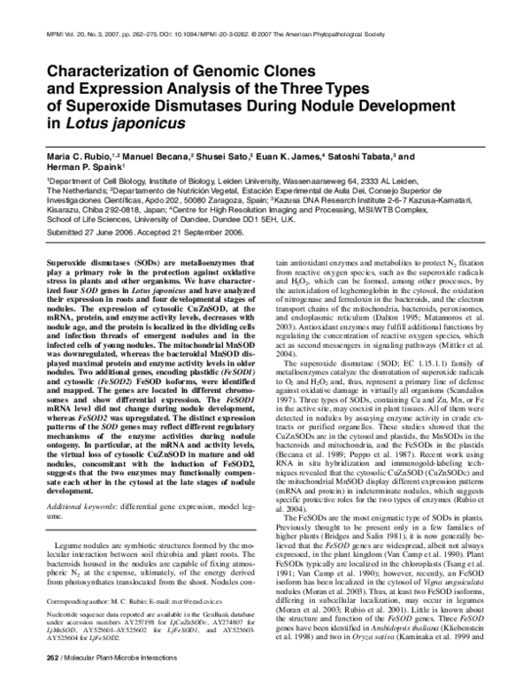 (PDF) Characterization of Genomic Clones and Expression Analysis of the Three Types of ...