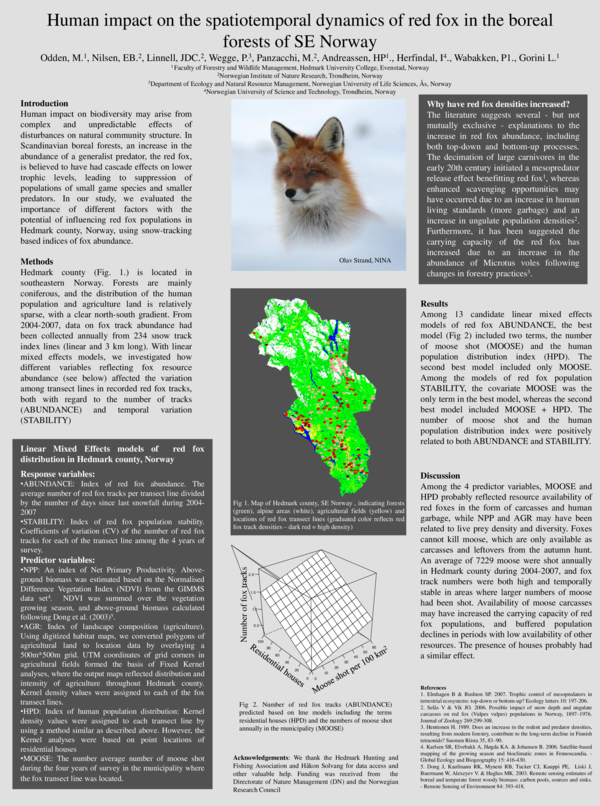 (PDF) Human impact on the spatiotemporal dynamics of red fox in the ...