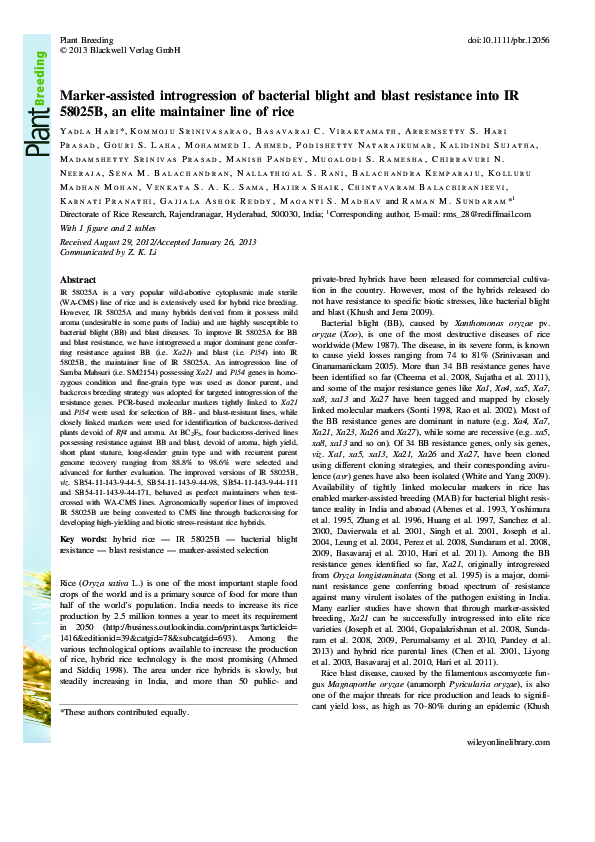 (PDF) Marker assisted introgression of bacterial blight resistance in ...