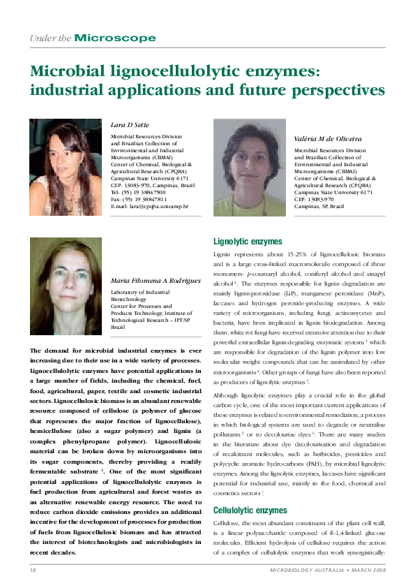 (PDF) Microbial lignocellulolytic enzymes: industrial applications and future perspectives