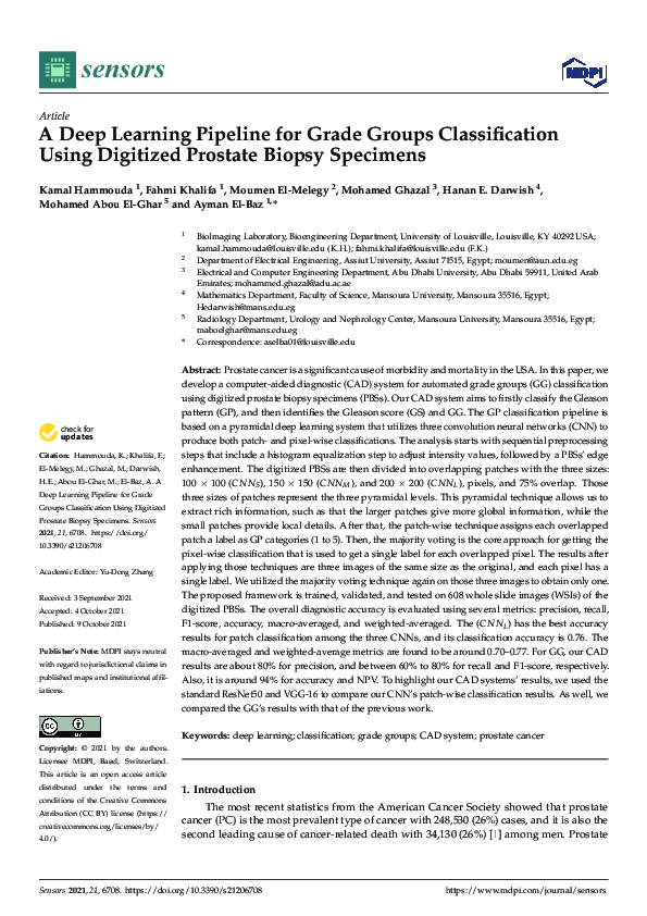 (PDF) A Deep Learning Pipeline for Grade Groups Classification Using Digitized Prostate Biopsy ...