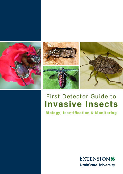 (PDF) Guide to Detecting Invasive Insects