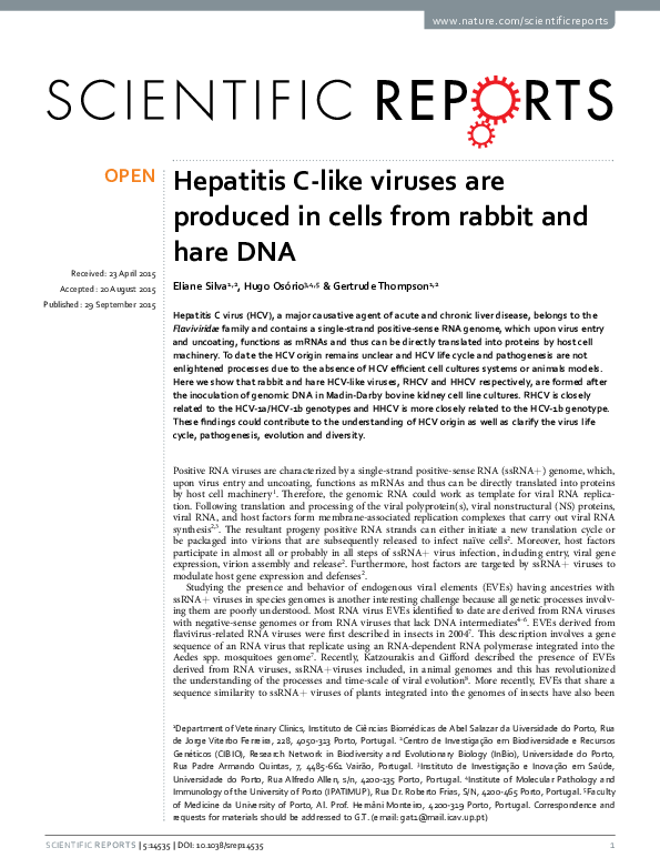 (PDF) Hepatitis C-like viruses are produced in cells from rabbit and ...