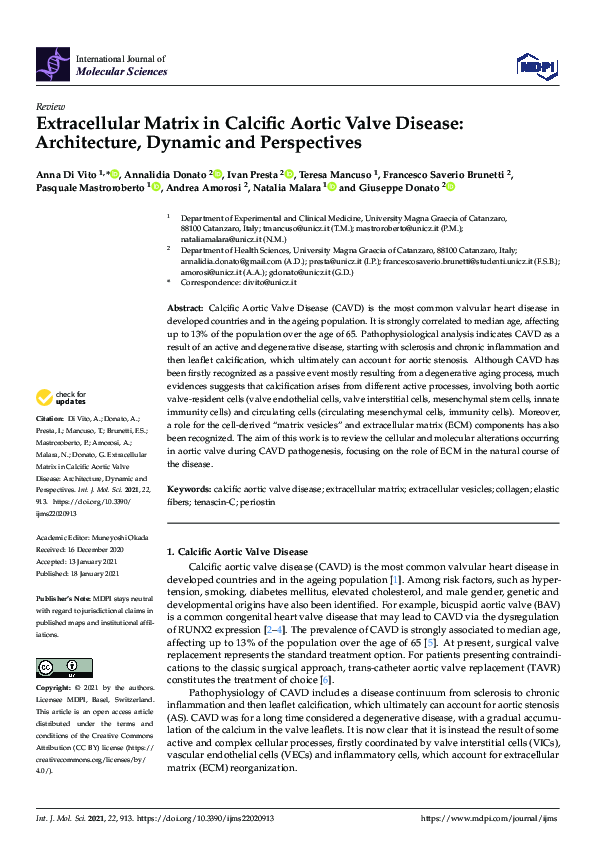 (PDF) Extracellular Matrix in Calcific Aortic Valve Disease: Architecture, Dynamic and Perspectives