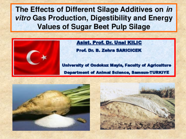 (PDF) The Effects of Different Silage Additives on in vitro Gas ...