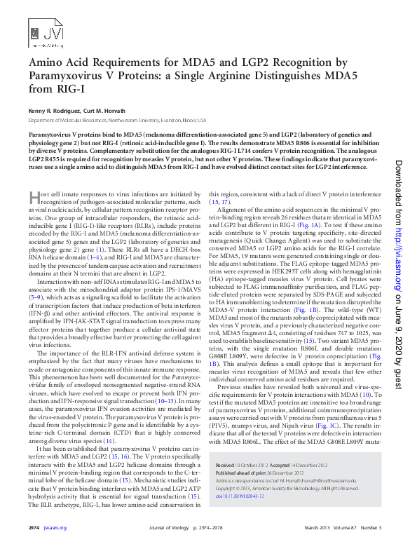 (PDF) Amino Acid Requirements for MDA5 and LGP2 Recognition by ...