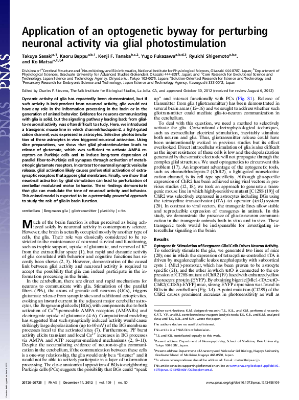 (PDF) Application of an optogenetic byway for perturbing neuronal ...