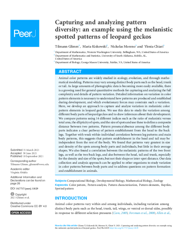 Pdf Capturing And Analyzing Pattern Diversity An Example Using The