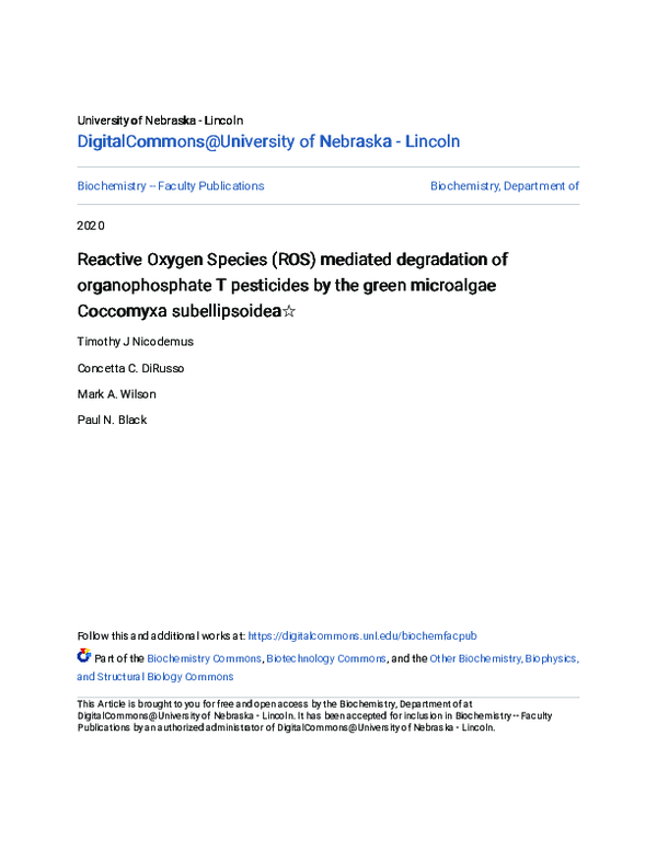 (PDF) Reactive Oxygen Species (ROS) mediated degradation of ...