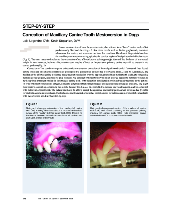 (PDF) Correction of Maxillary Canine Tooth Mesioversion in Dogs