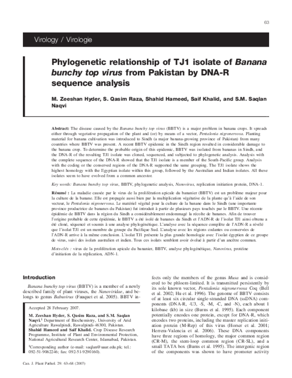 (PDF) Phylogenetic relationship of TJ1 isolate ofBanana bunchy top virusfrom Pakistan by DNA-R ...