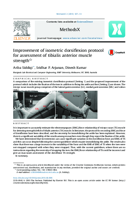 (PDF) Improvement of isometric dorsiflexion protocol for assessment of ...