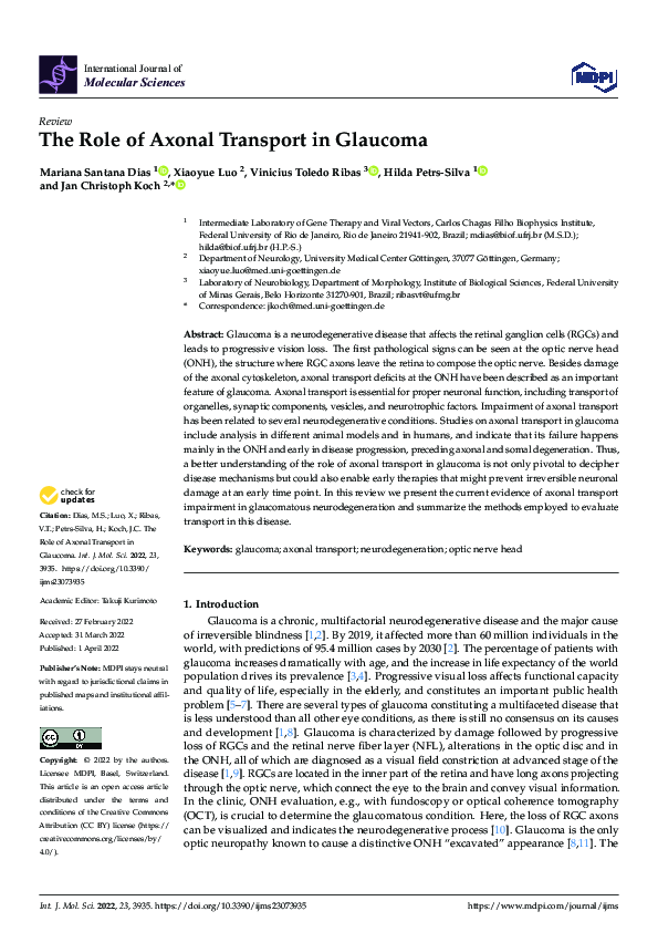 (PDF) The Role of Axonal Transport in Glaucoma