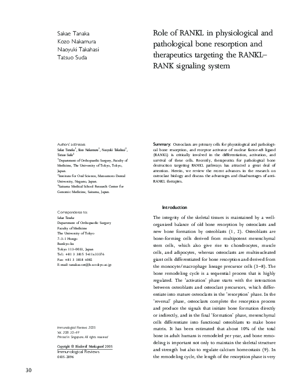 (PDF) Role of RANKL in physiological and pathological bone resorption ...