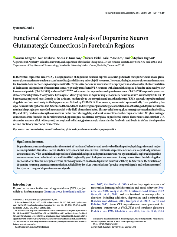 (PDF) Functional Connectome Analysis of Dopamine Neuron Glutamatergic ...