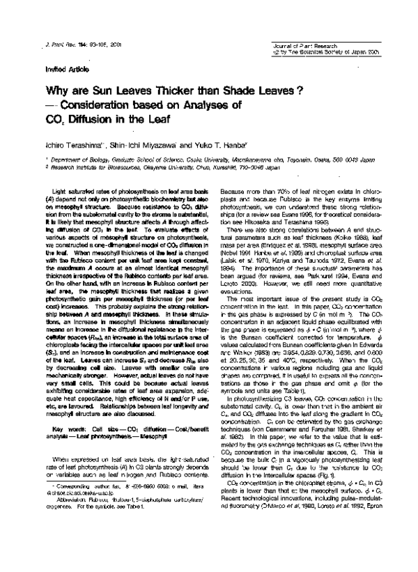 (PDF) Why are Sun Leaves Thicker than Shade Leaves? — Consideration ...
