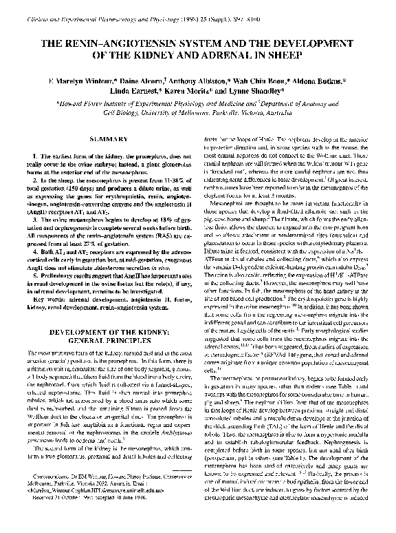 (PDF) The Renin-Angiotensin System and the Development of the Kidney ...