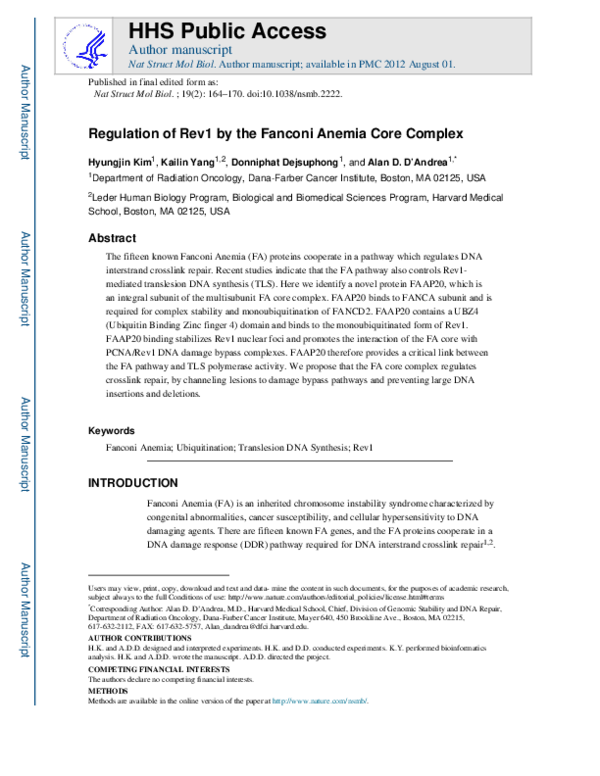 (PDF) Regulation of Rev1 by the Fanconi anemia core complex | KAILIN ...