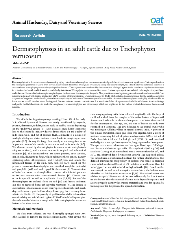 (PDF) Dermatophytosis in an adult cattle due to Trichophyton verrucosum