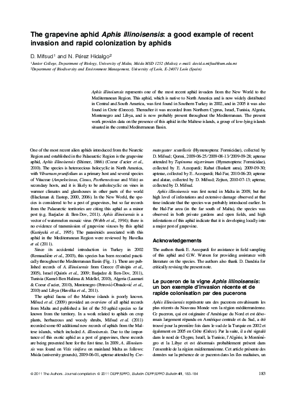 (PDF) The grapevine aphid Aphis illinoisensis: a good example of recent ...