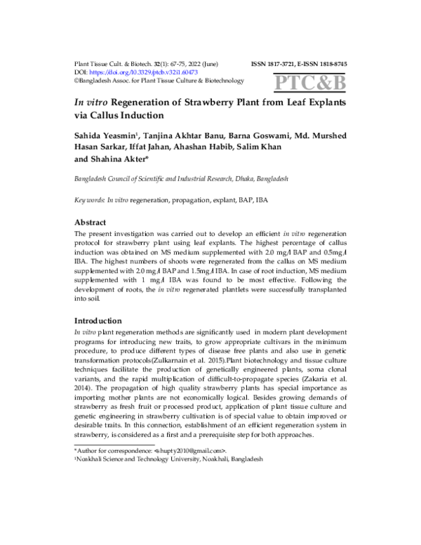 Pdf In Vitro Regeneration Of Strawberry Plant From Leaf Explants Via