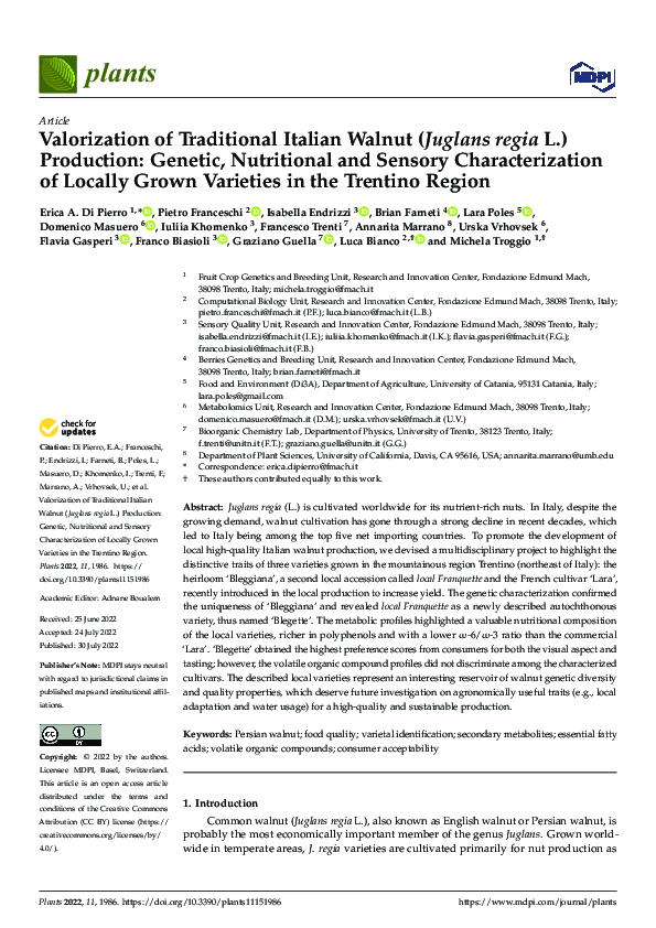 (PDF) Valorization of Traditional Italian Walnut (Juglans regia L.) Production: Genetic ...