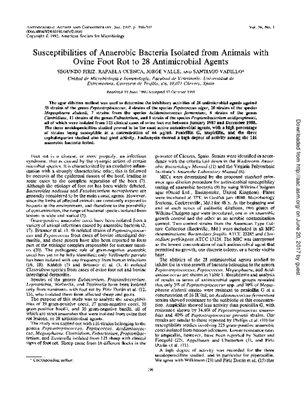 (PDF) Susceptibilities of anaerobic bacteria isolated from animals with ...