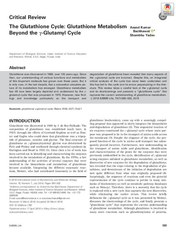 (PDF) The glutathione cycle: Glutathione metabolism beyond the γ ...