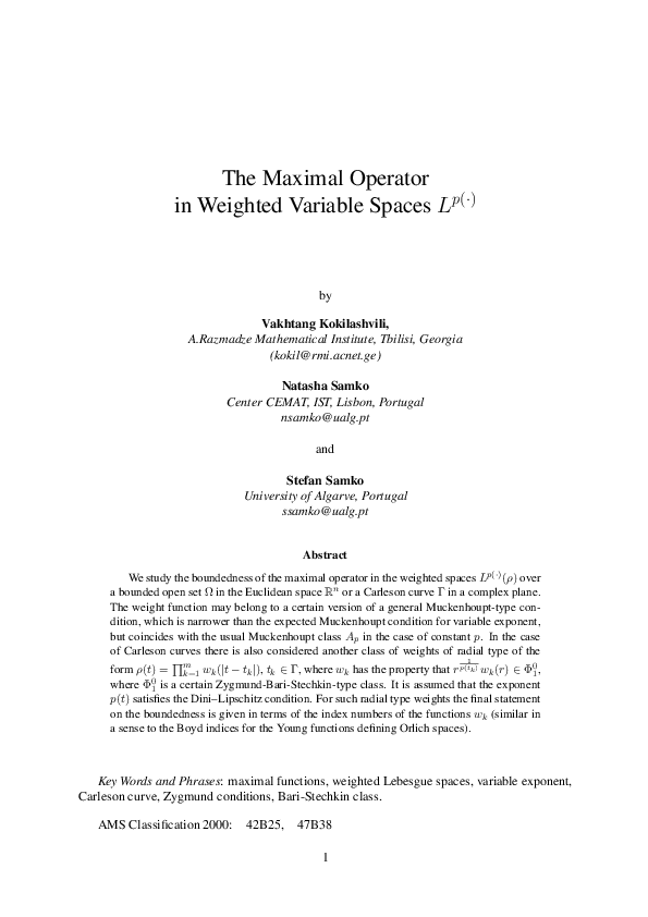 (PDF) The Maximal Operator