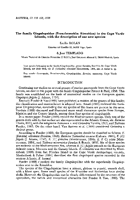 (PDF) The family Cingulopsidae (Prosobranchia: Rissoidea) in the Cape ...