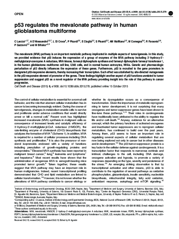 (PDF) P53 Regulates the Mevalonate Pathway in Human Glioblastoma Multiforme
