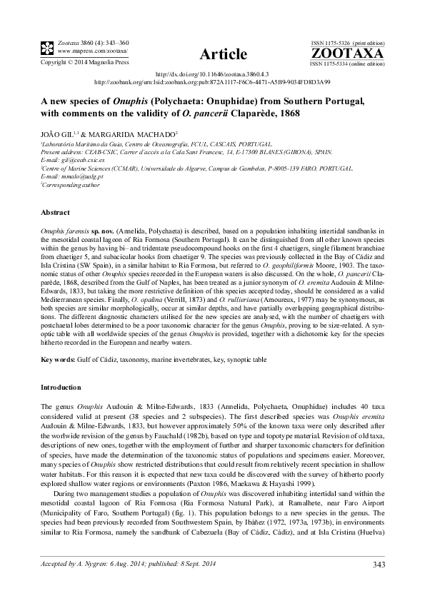 (PDF) A new species of Onuphis (Polychaeta: Onuphidae) from Southern ...