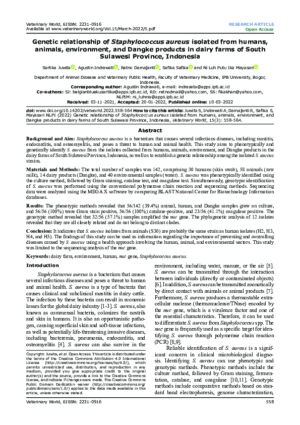 Pdf Genetic Relationship Of Staphylococcus Aureus Isolated From