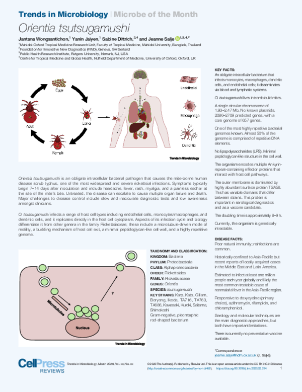 (PDF) Orientia tsutsugamushi