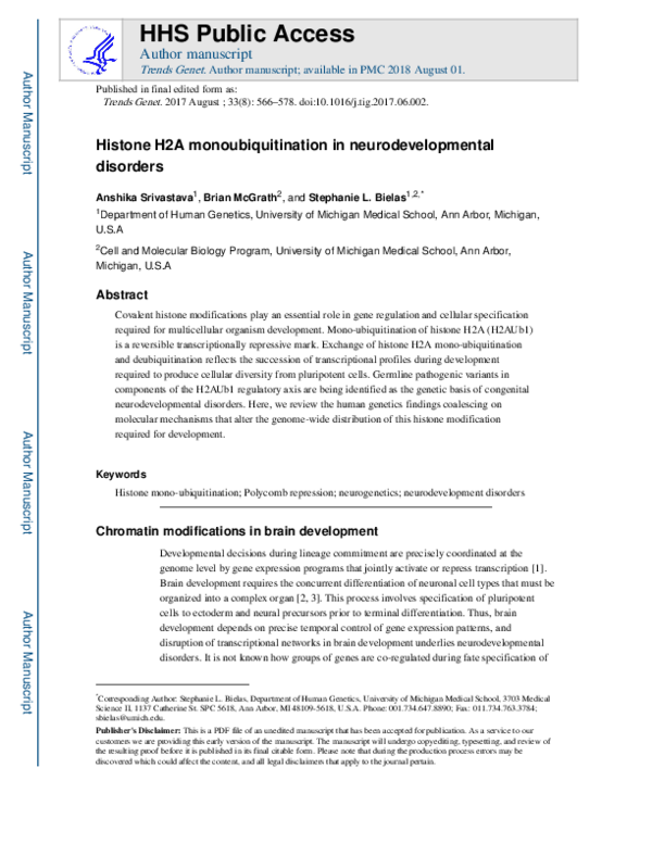 (PDF) Histone H2A Monoubiquitination in Neurodevelopmental Disorders